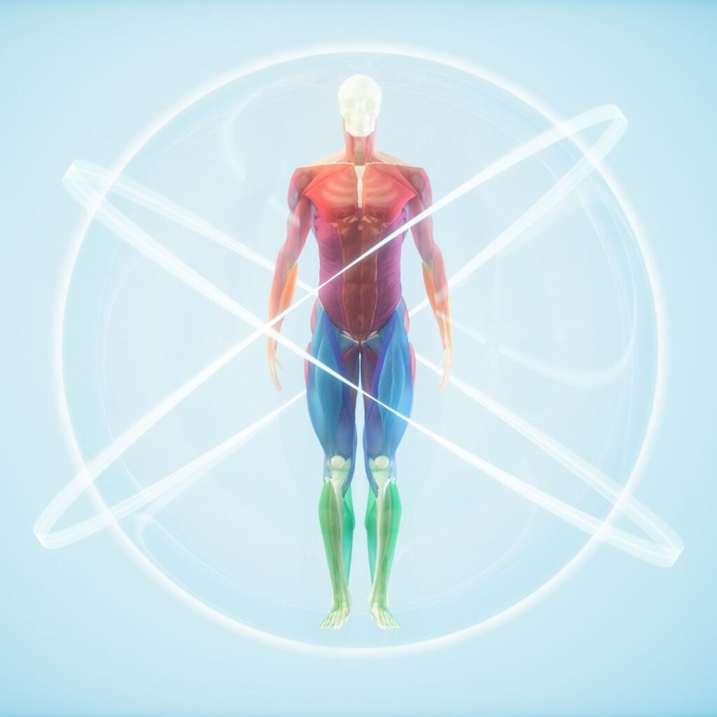 Why Drinking Water Is Good For Your Joints | Optimum Health Rehab